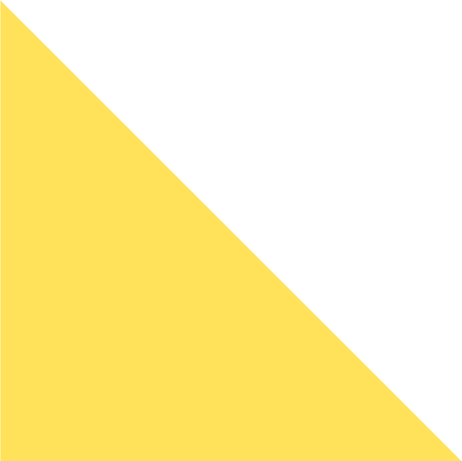 Home - The Lighting dude